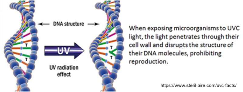 UVC: Why it's the Standard Recommended by ASHRAE/CDCCOVID?