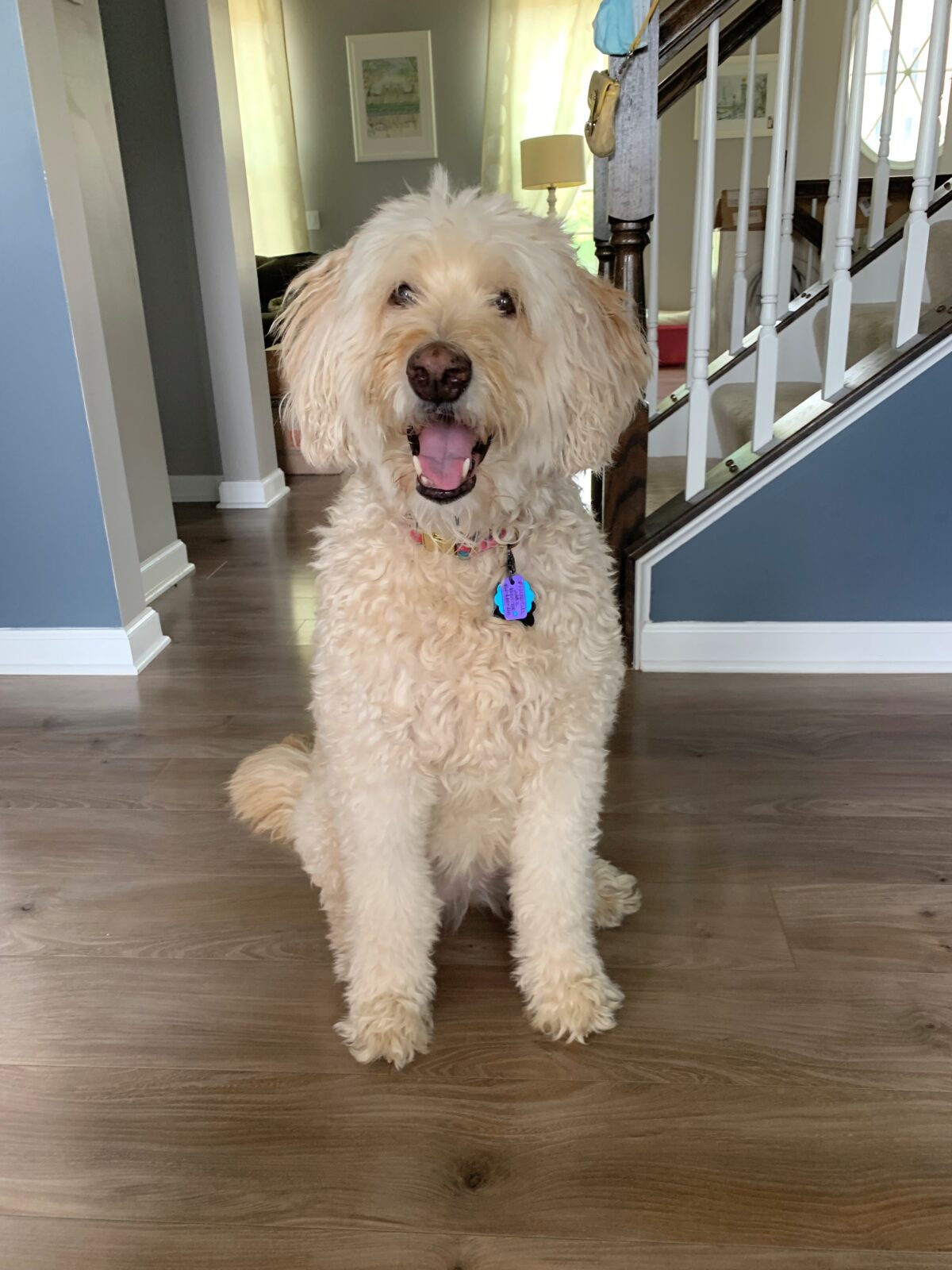 Mission Stories: Jennifer Hanlon